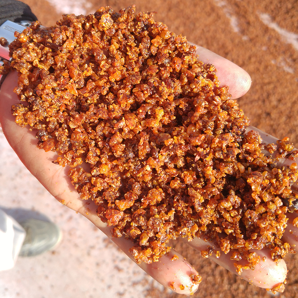 NorthernShellac natural product for life